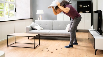 Pest Control in Dallas & Houston, TX | All-Safe Pest & Termite