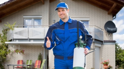 Pest Control in Dallas & Houston, TX | All-Safe Pest & Termite