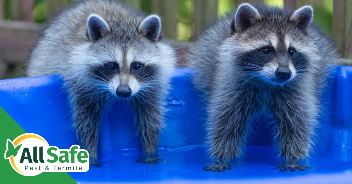 How to Keep Animals Out of Your Pool