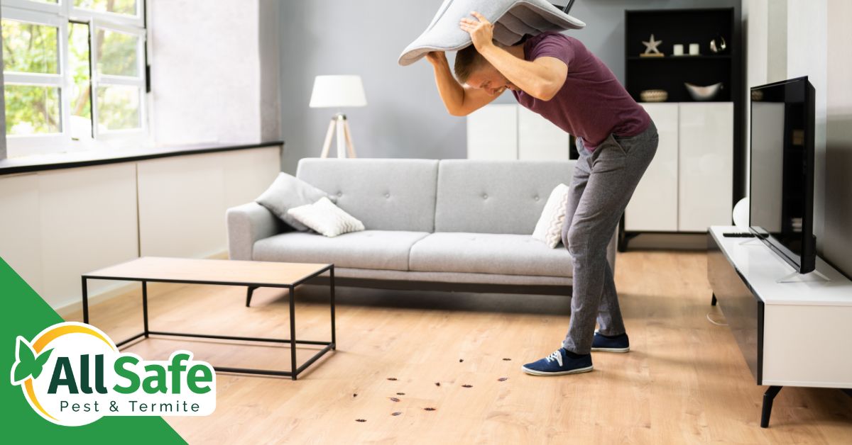 Pest Prevention in Apartment Buildings